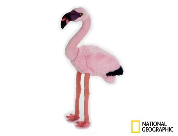 NATIONAL GEOGRAPHIC plyšák Plameniak | feedo.sk